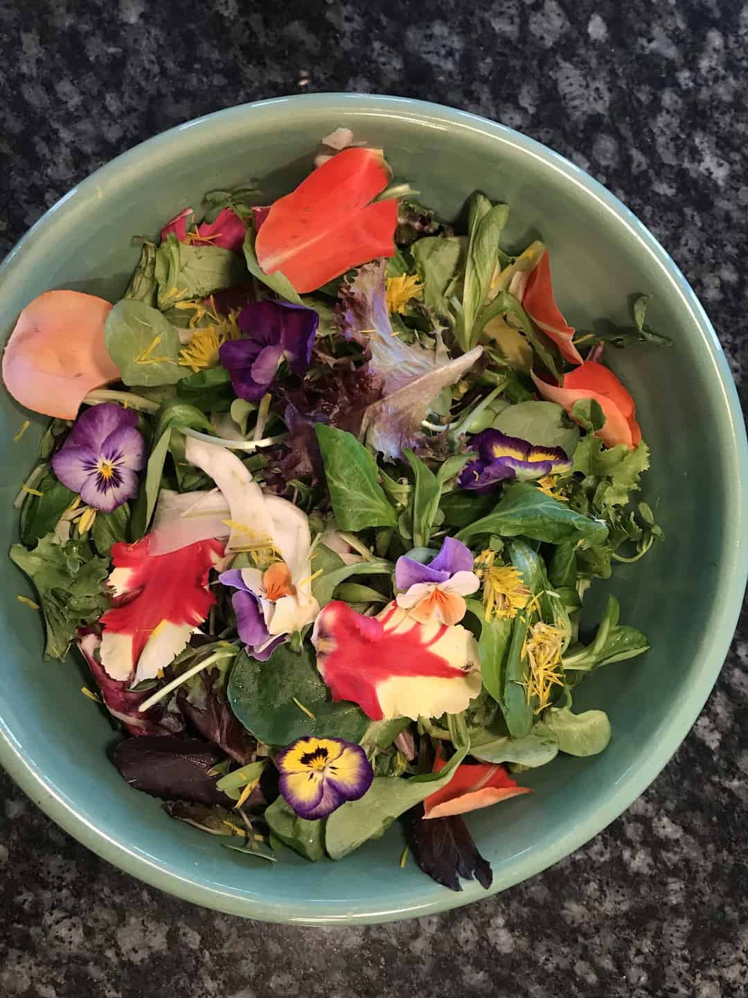 May Cocktails, Liming Lawns and Gorgeous Salads | Plantrama.com