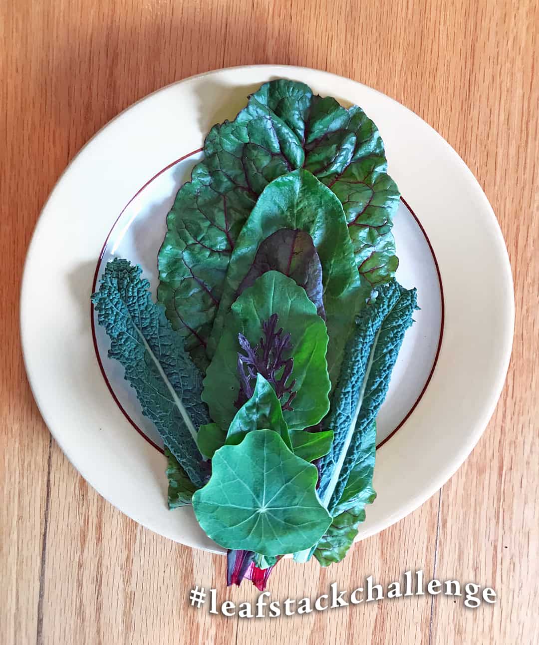 Planting Bulbs, Ten-Minute Improvements, and The Leaf-Stack Challenge ...