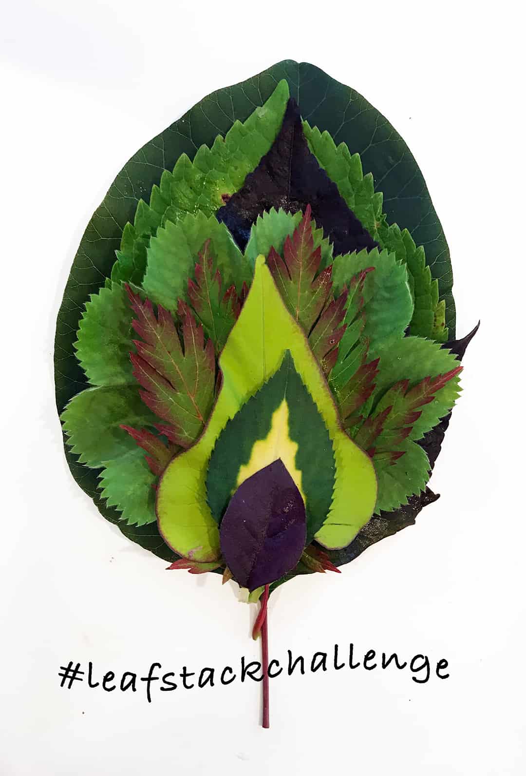 Planting Bulbs, Ten-Minute Improvements, and The Leaf-Stack Challenge ...